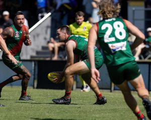 Sandgate Hawks – Northside's Top AFL Players